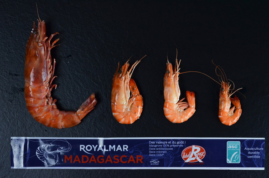 Crevettes Label Rouge de Madagascar - Poissonnerie ROBERT