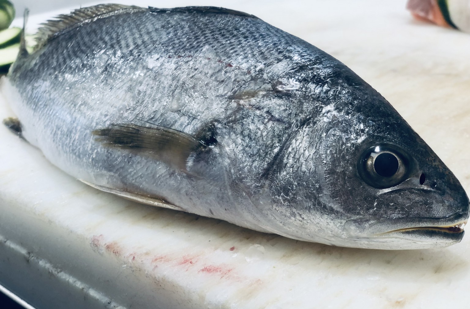 Maigre entier (au kg) - Poissonnerie ROBERT